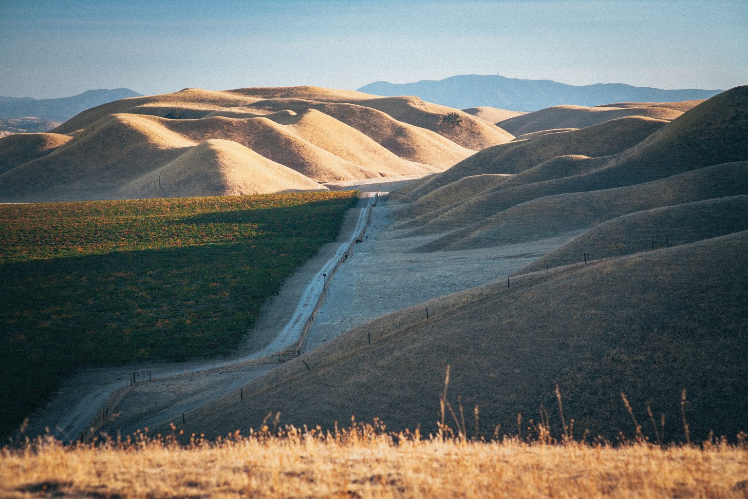Our History - Avenales Ranch
